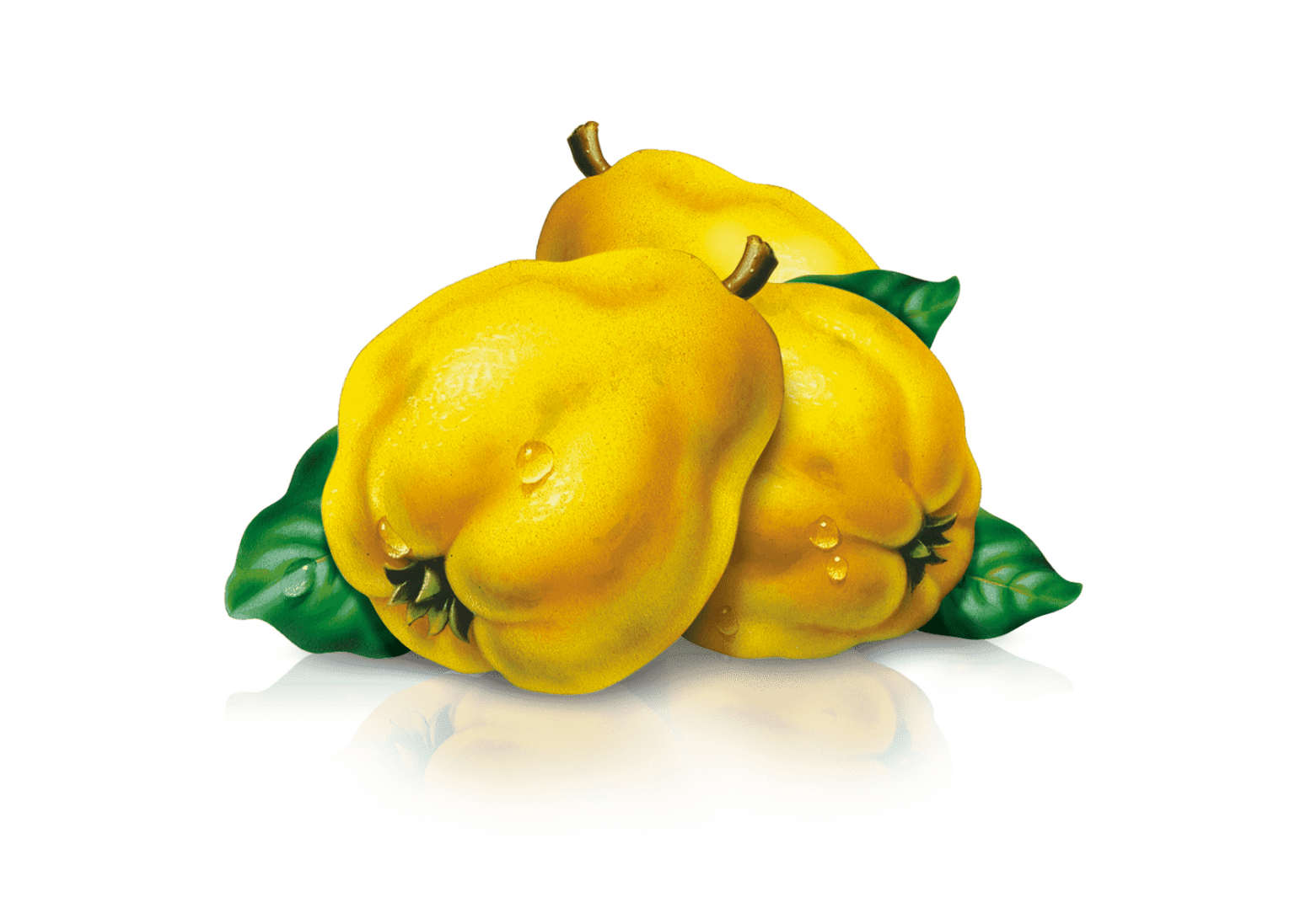 Quitte Herkunft | Simmler